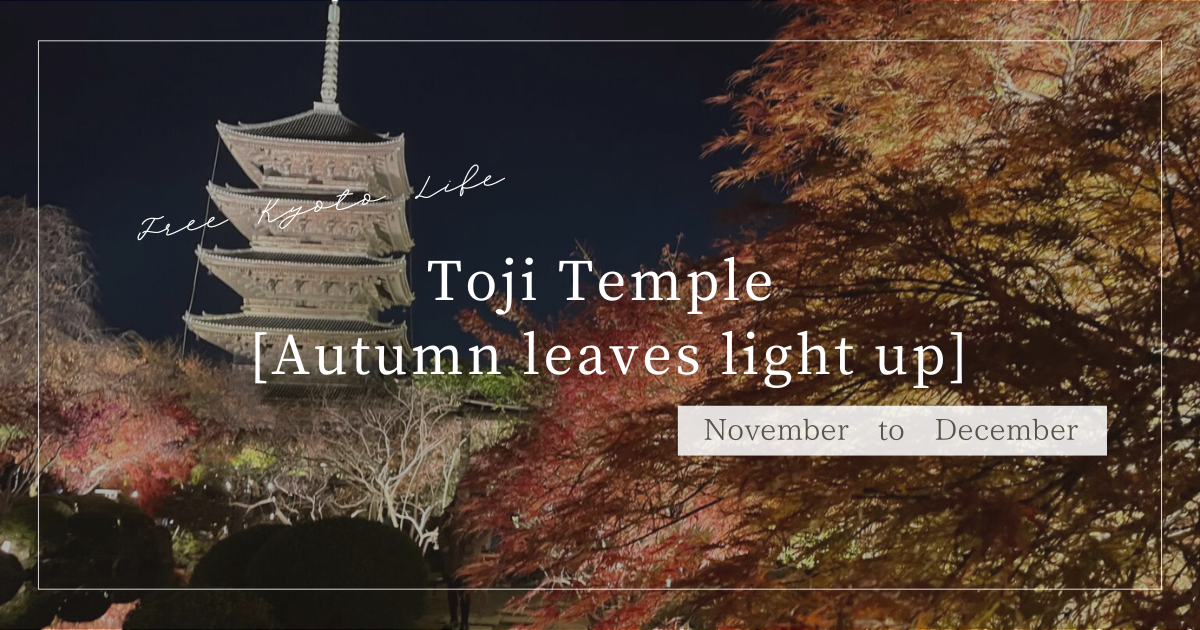[Toji Temple/Autumn Leaves Illumination] Event Overview, Access, and ...